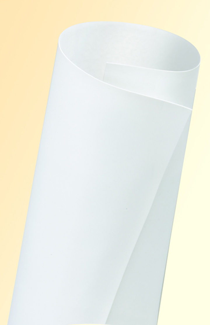 9’6″ x 35′ Diflex TPO Roofing – RV News