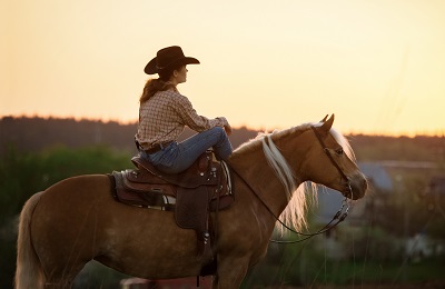 Curt, Ranch Hand Spotlight Cow Horse, Rider Safety - RV News