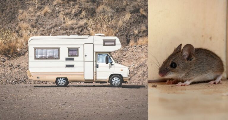 Inventors Develop Camper Jack Mouse Barrier - RV News